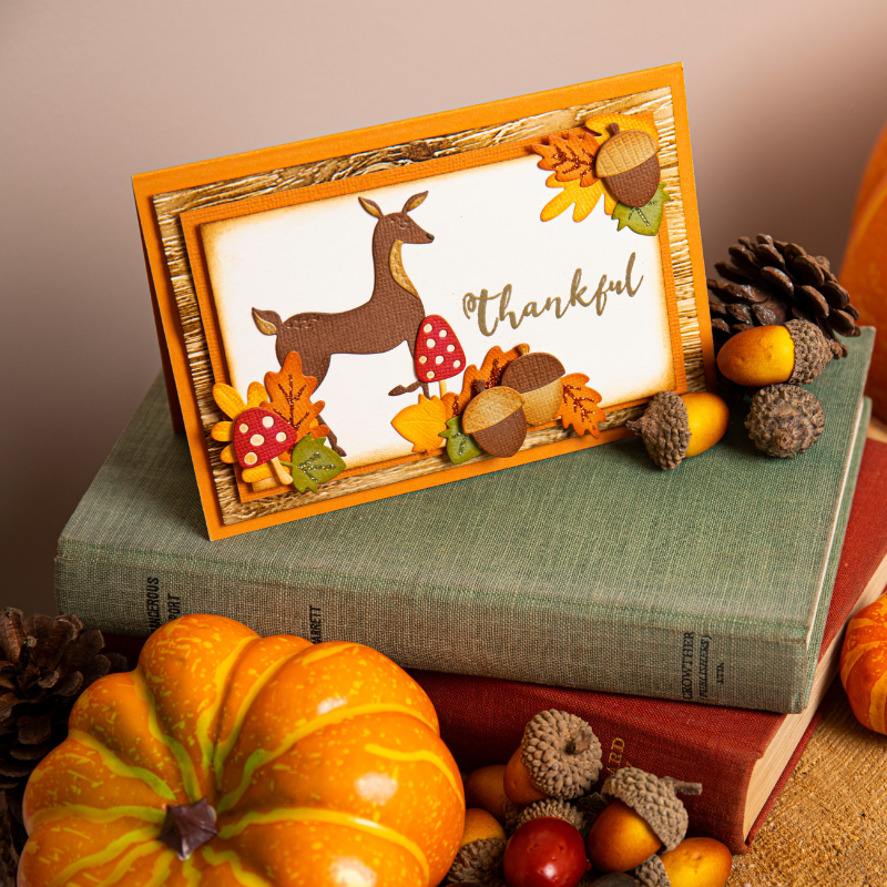 Sizzix Thinlits Die Set 8PK - Harvest Squirrels – Sizzix.com