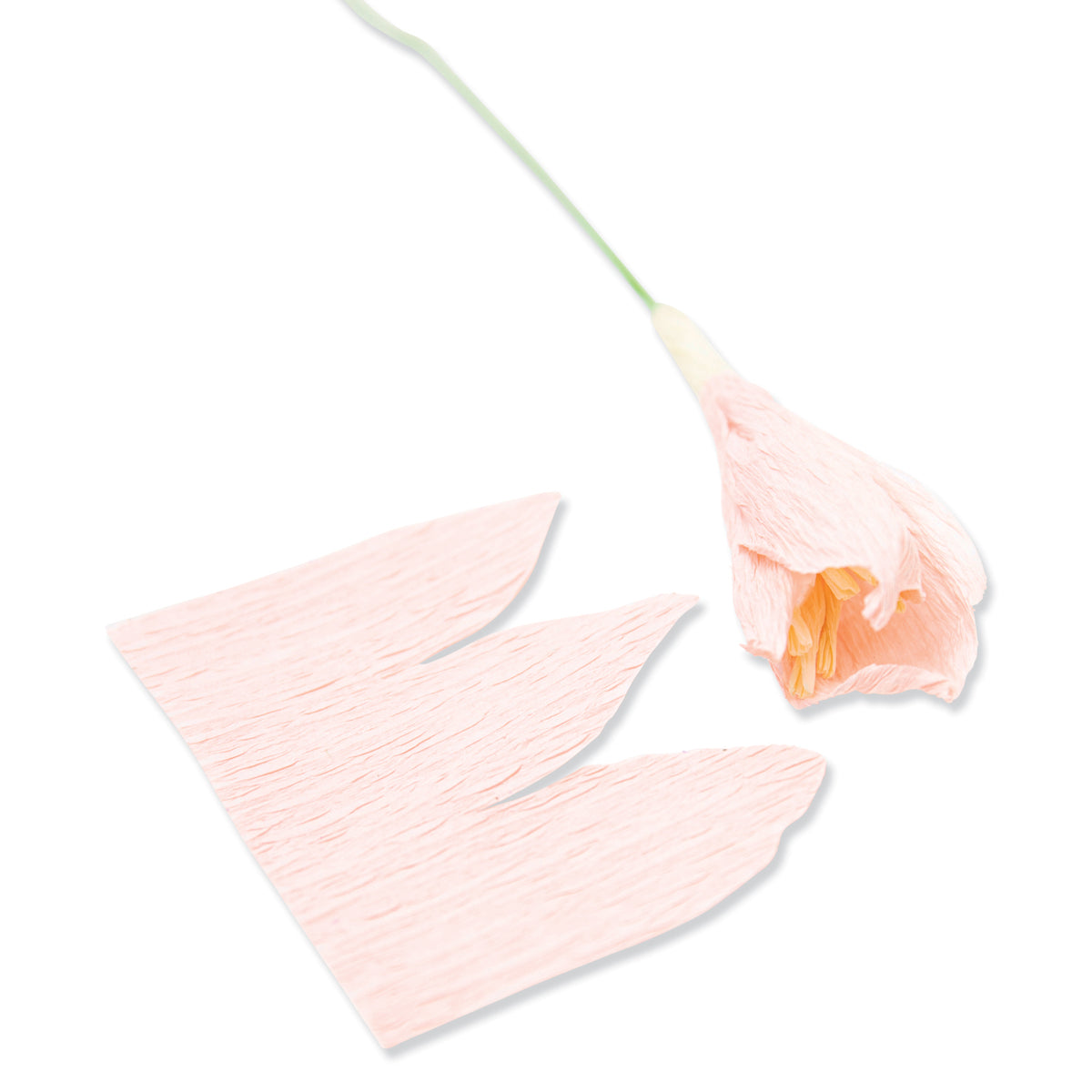 Sizzix Thinlits Die Set 7PK - Garden Rose – Sizzix.com