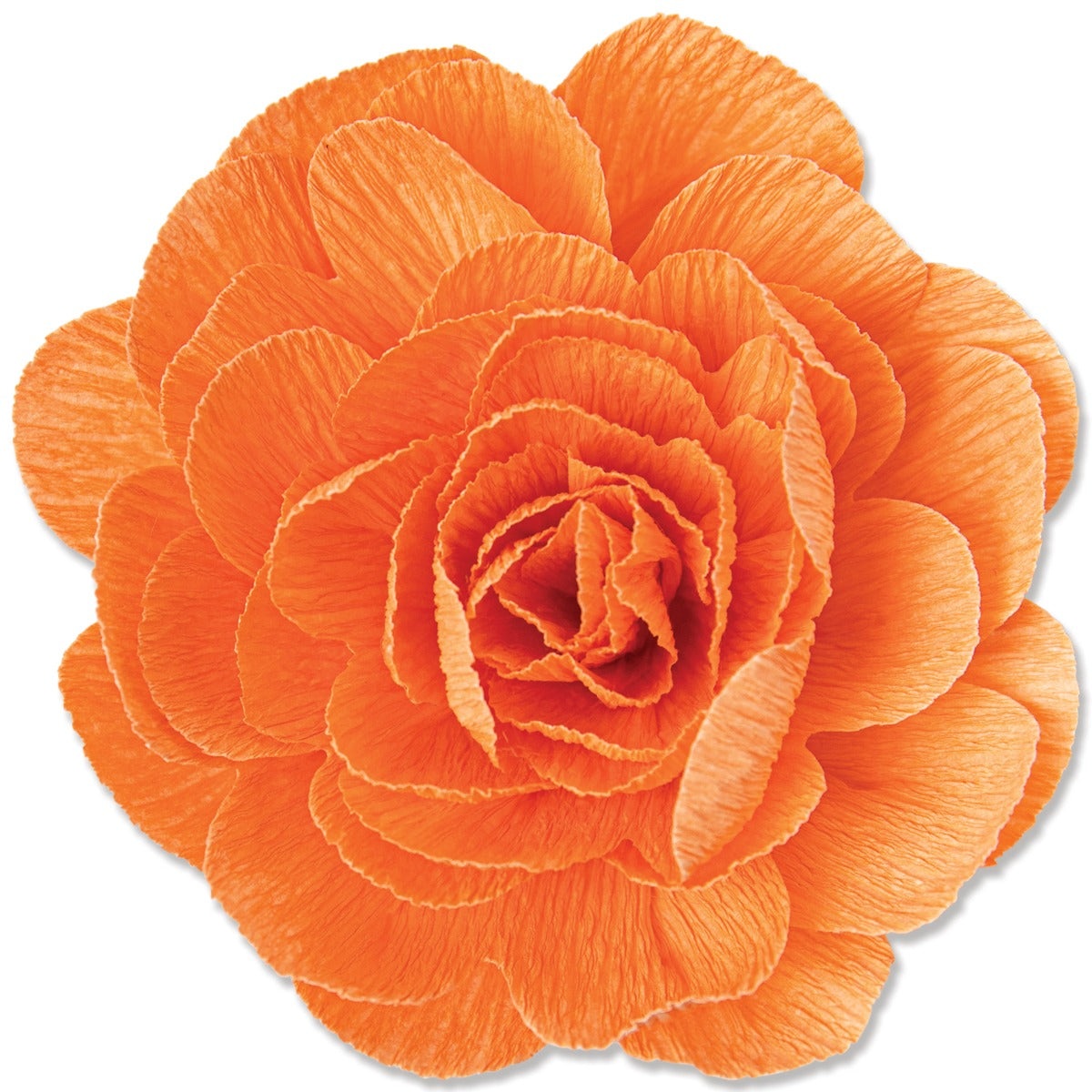 Sizzix Thinlits Die Set 3PK - Pom-Pom Flower – Sizzix.com