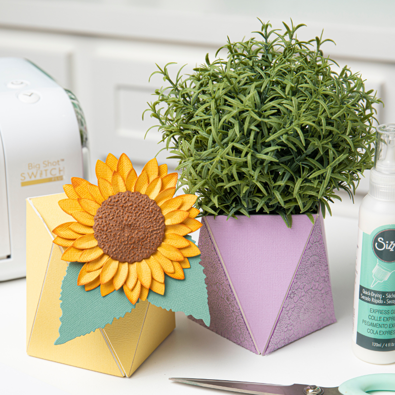 Sizzix ScoreBoards XL Die - Geometric Box by Eileen Hull – Sizzix.com