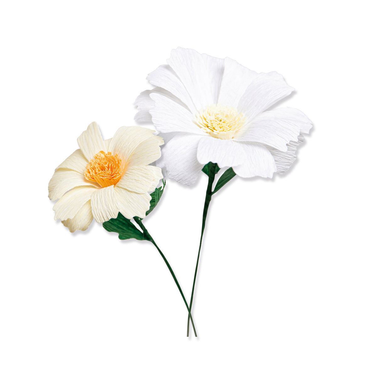 Sizzix Thinlits Die Set 8PK - Daisy Flower Mix – Sizzix.com