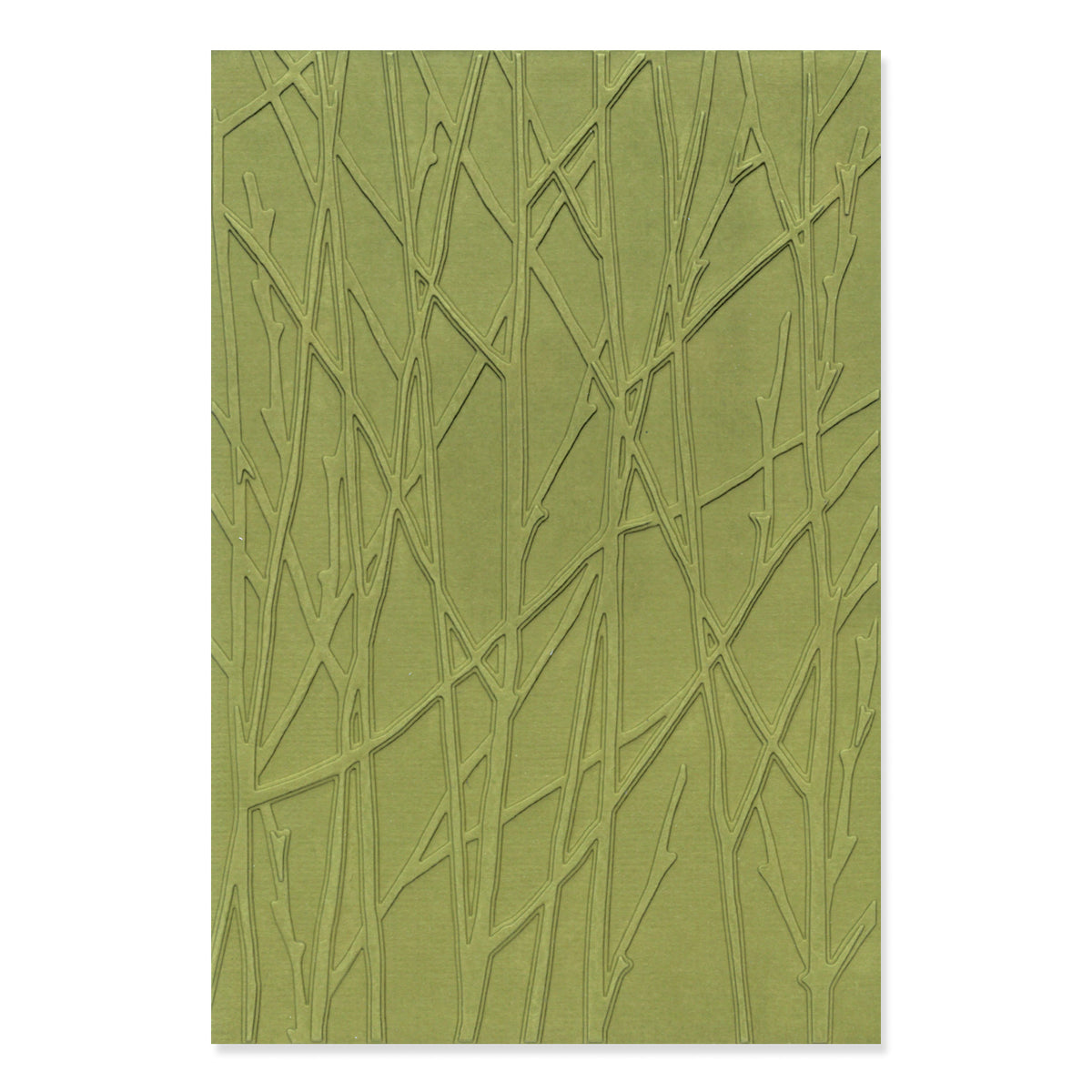Multi-Level Textured Impressions Embossing Folder - Forest Scene by Ol ...