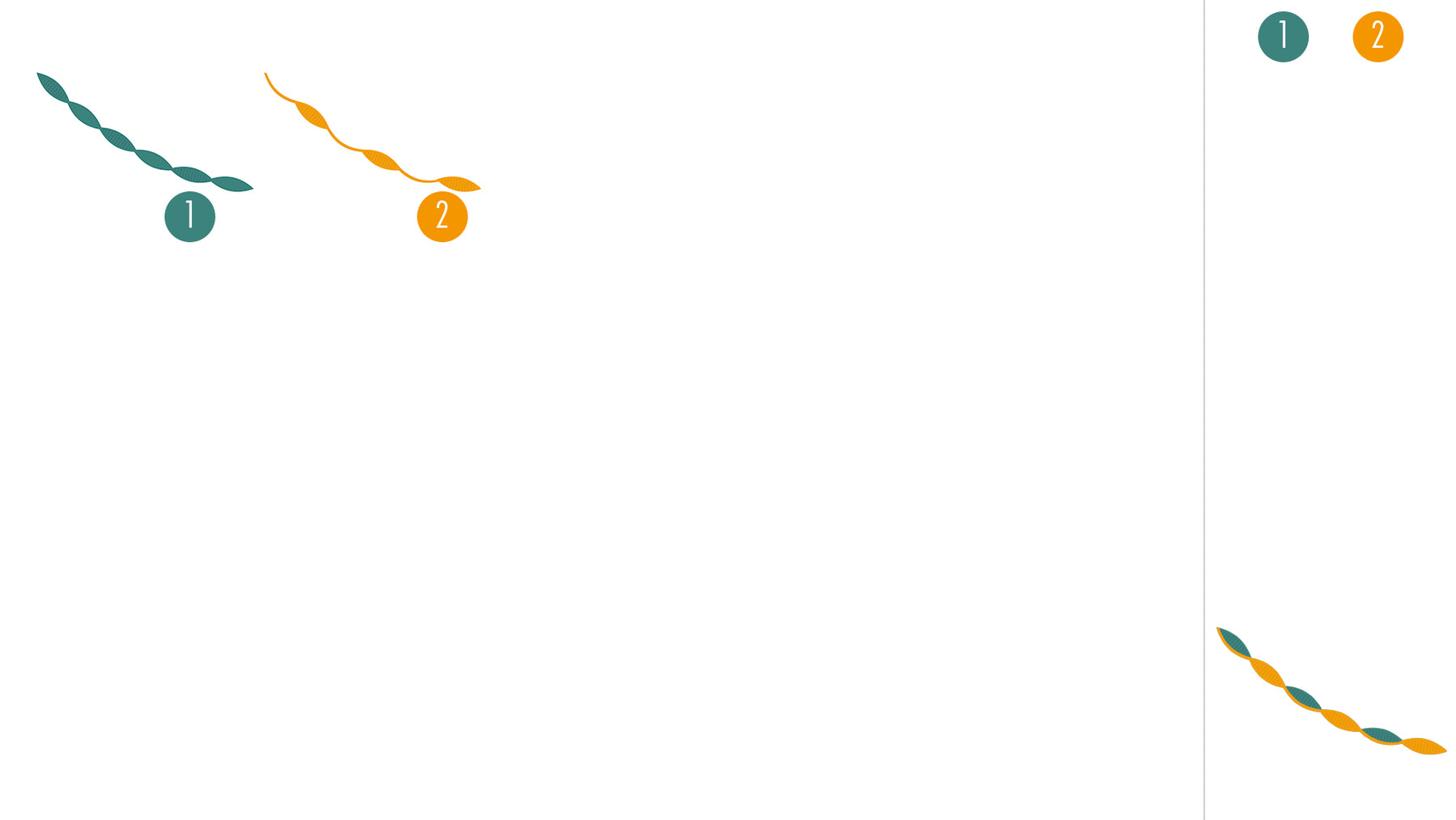 Sizzix Thinlits Die Set 32PK - Celebrate Colorize by Tim Holtz – Sizzix.com